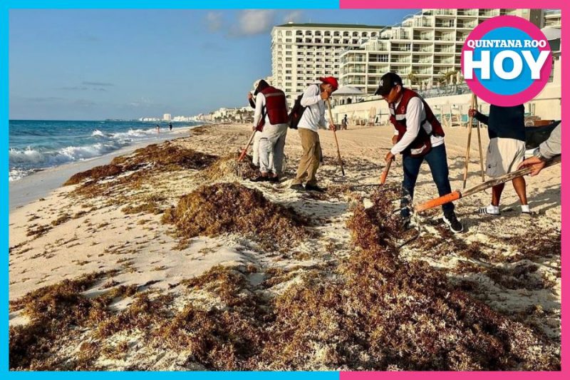 Costas de Quintana Roo enfrentan una nueva avalancha de sargazo